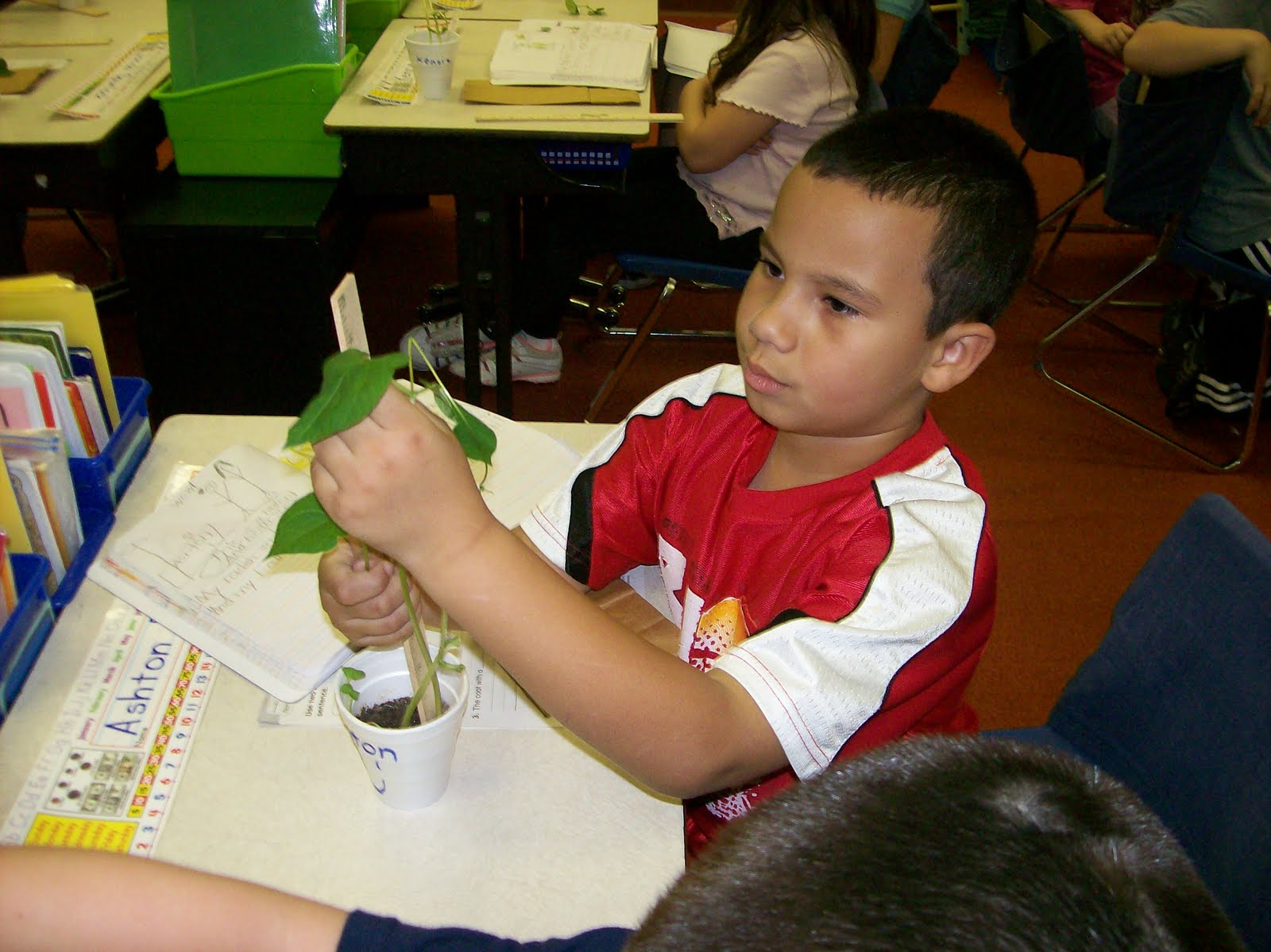 Booky4First: Measurement with Plants