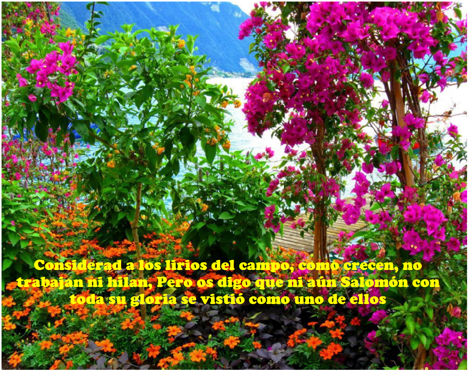 Escuela Metafísica "Maitreya": El Cuarto Rayo es el Blanco de la PUREZA ...