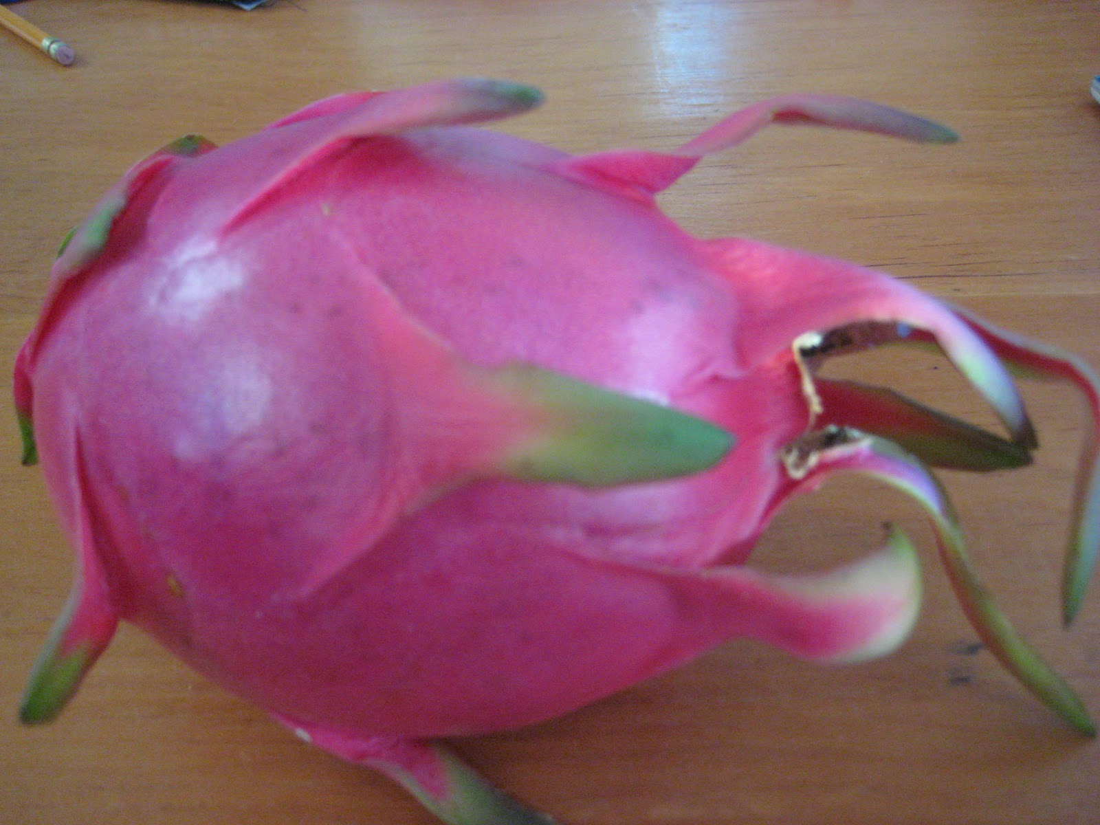 Night Blooming Cereus & Dragon Fruit | Ho'okipa Aikane on Maui Hawaii