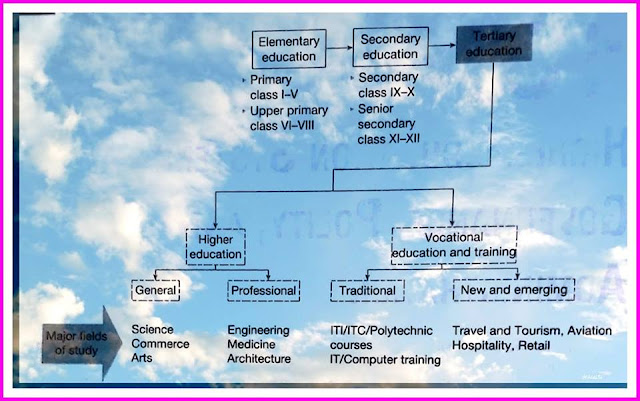 STRUCTURE OF THE INSTITUTIONS FOR HIGHER LEARNING AND RESEARCH IN INDIA ...