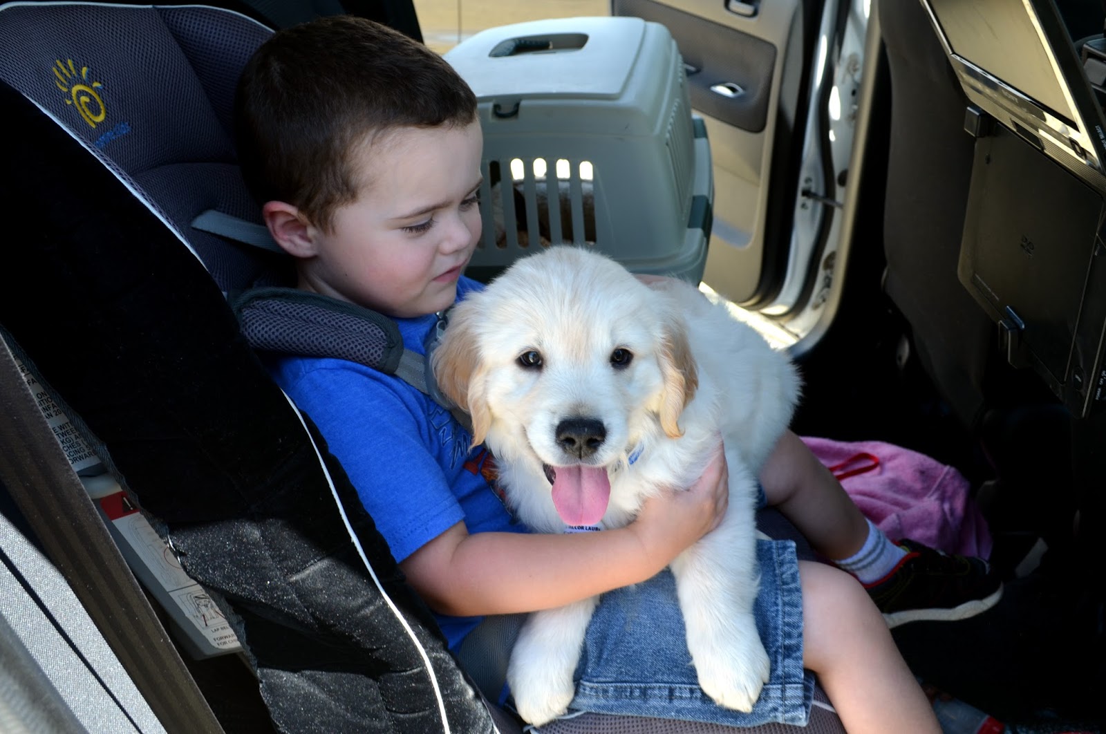 Not all who wander are lost...: Falkor and the Neverending story of a ...