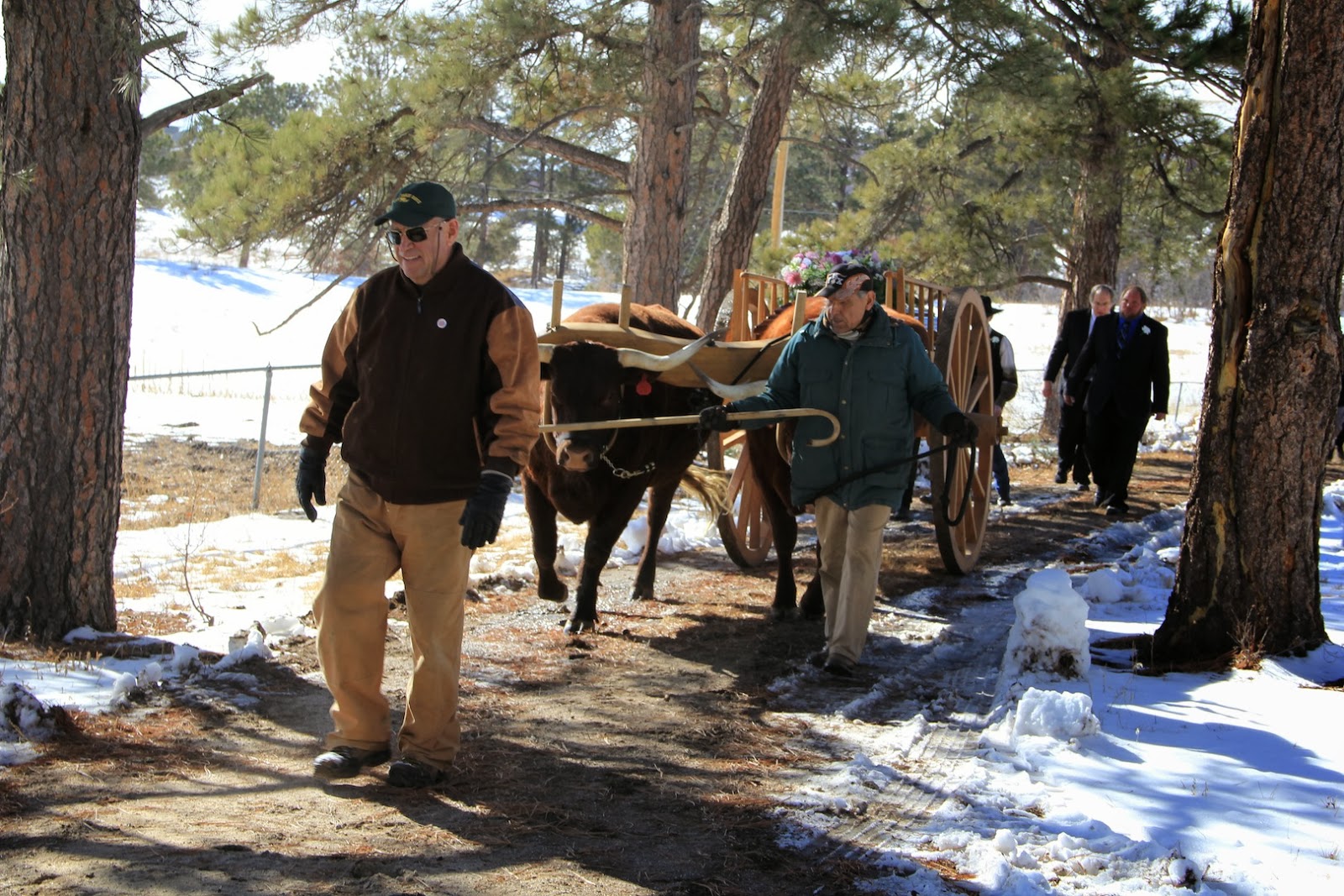 Restless native: Oxen team carries woman of history to final rest