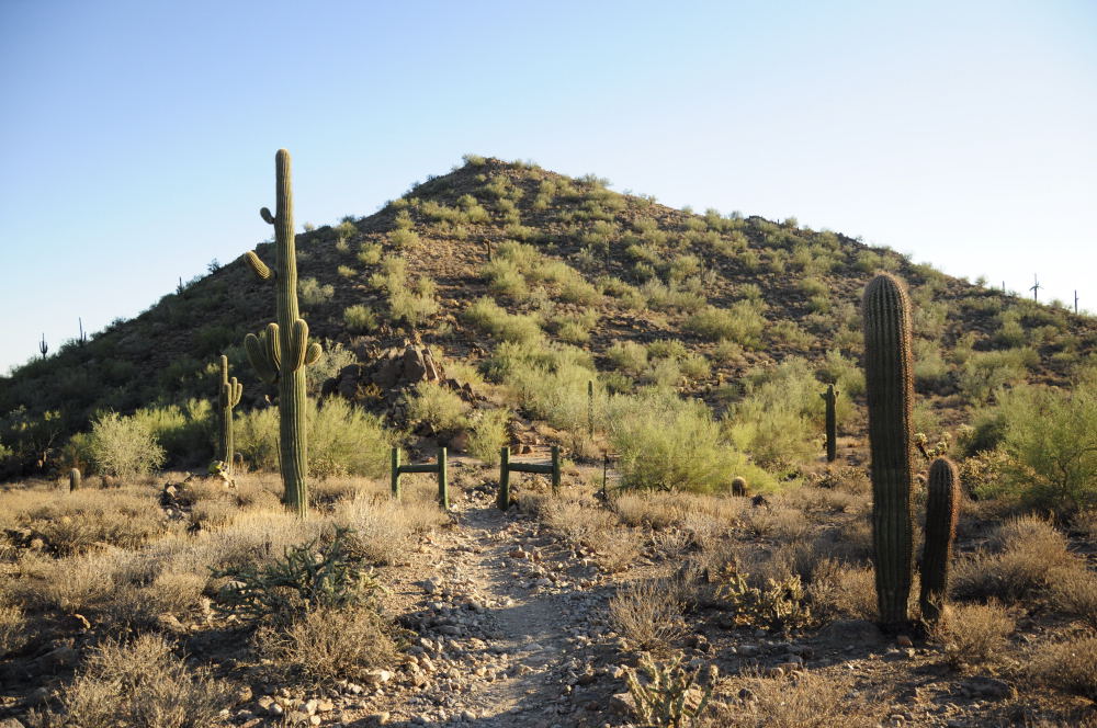 Exploring the Southwest: Cat Peak Loop - Usery Mountain Park.