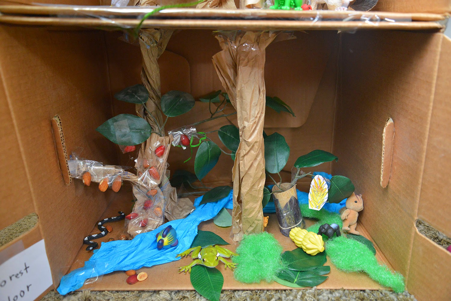 A school of fish: Rainforest Model