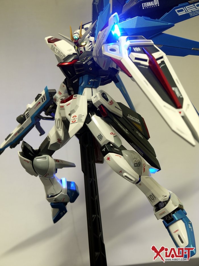 Gundam Family: MG 1/100 Freedom Gundam Custom Build with LED