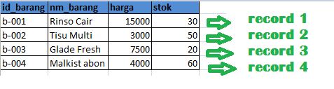 i'm just trying to reach my dream ....: Field , Record , File , dan ...