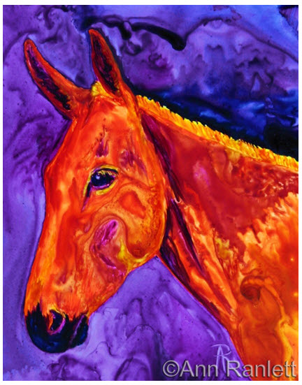 The Most Inspiring Mule Ever!