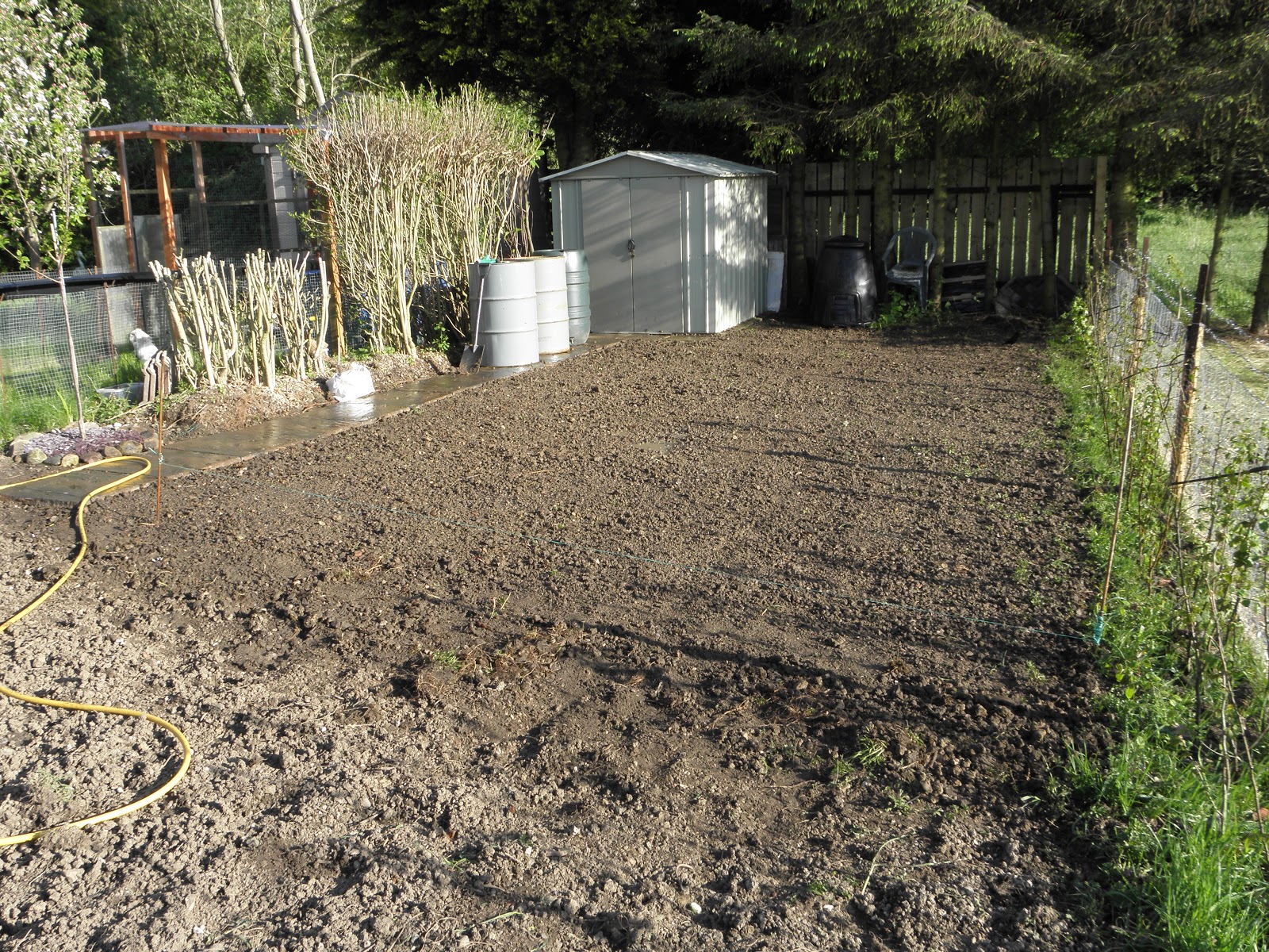 where eagles fear to perch: DIY landscaping of the extended garden....