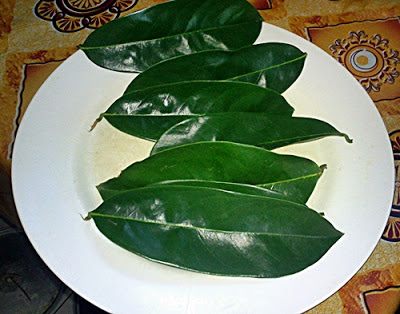 graviolateam finland: How to prepare Soursop leaf Tea