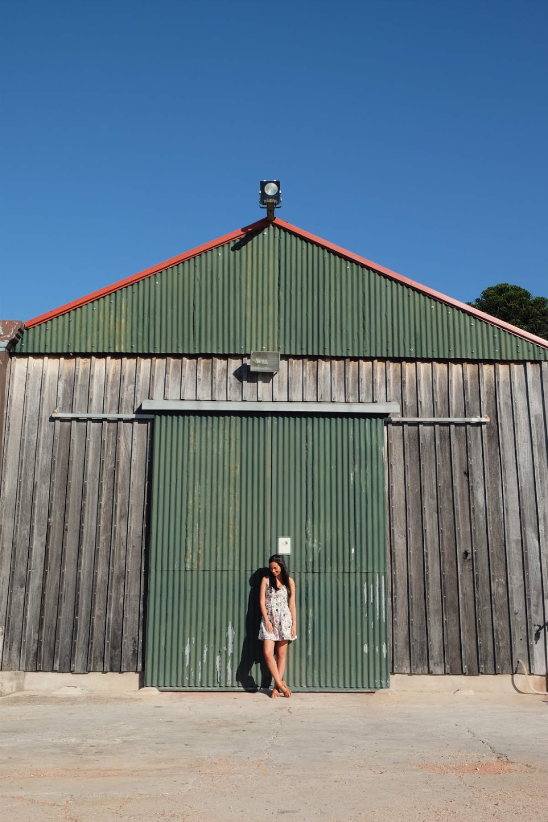 Visita e almoço na Bodega Bouza - Uruguai por uma brasileira