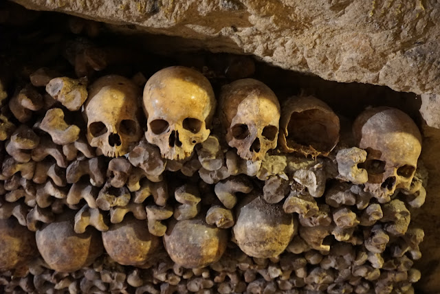 Visiting the Paris Catacombs - Europe Post 6 | I Run For Wine