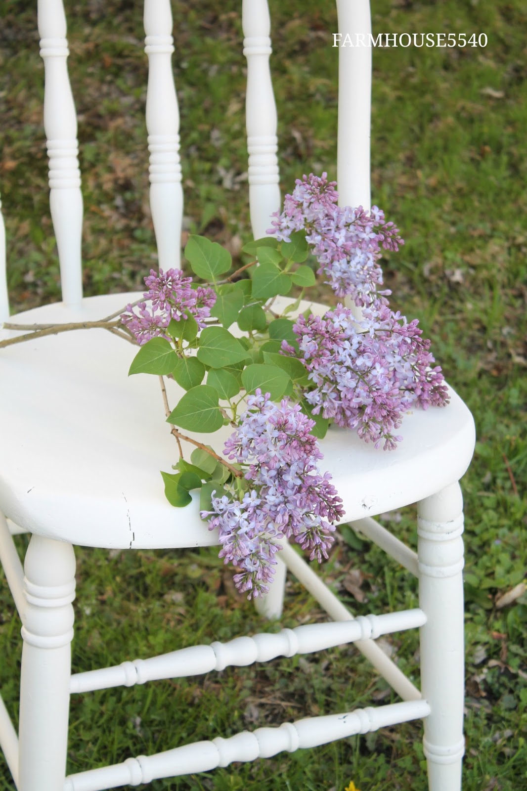 FARMHOUSE 5540: Weekly Inspiration ~ Fresh Cut Flowers