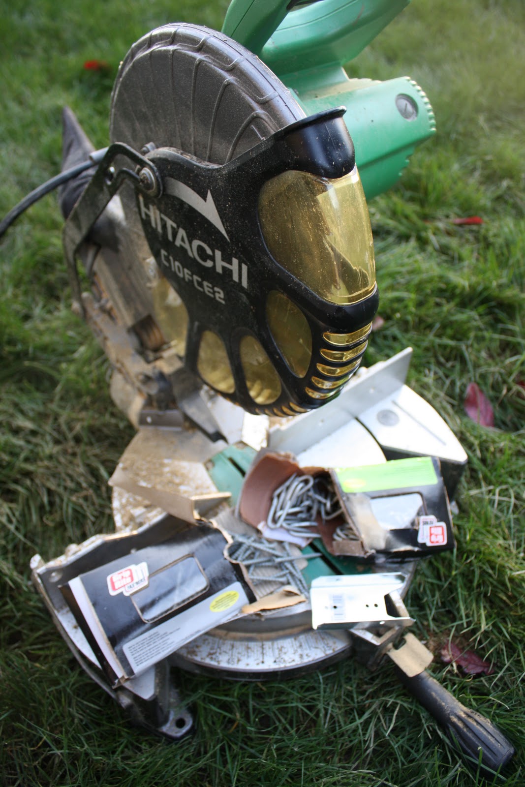 Domestically Dobson: Dog Run Fun