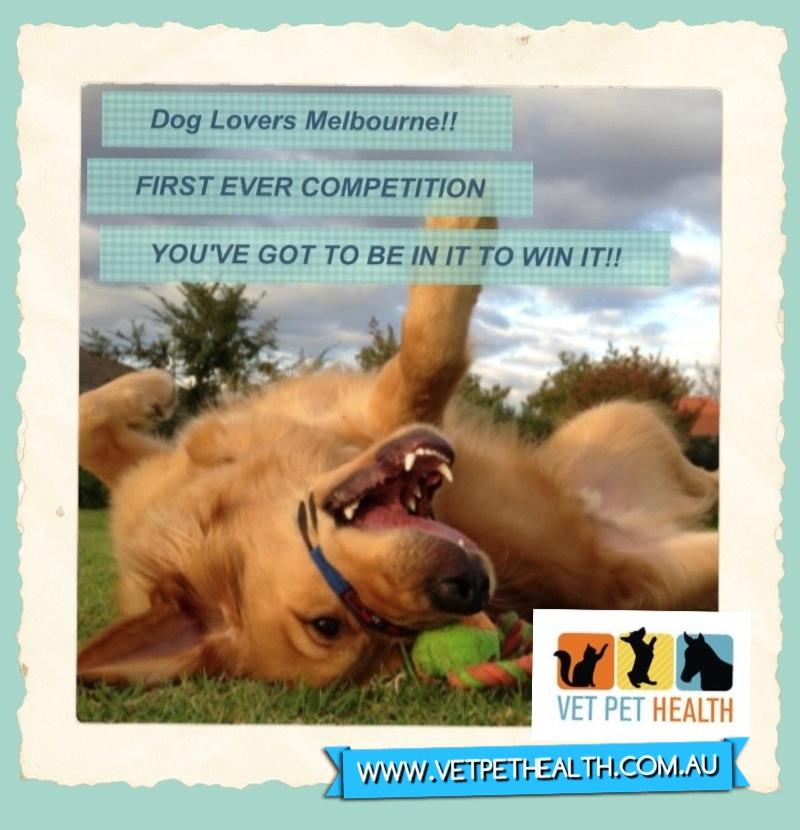 mydogjourney: Loving my new facebook group 'Dog Lovers Melbourne!!'