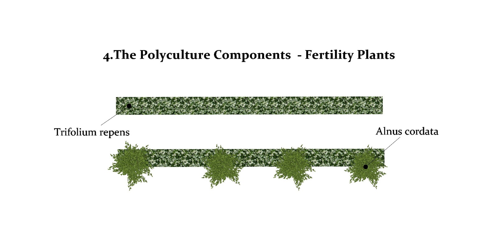 Balkan Ecology Project : The Early Polleniser Polyculture - A Support ...