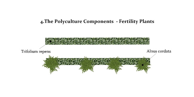 Balkan Ecology Project : The Early Polleniser Polyculture - A Support ...