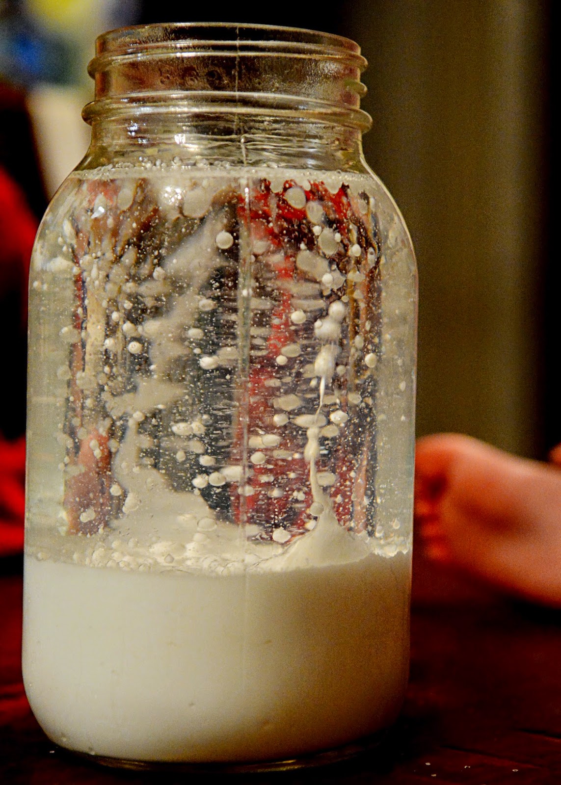 This Farm Family's Life: Snowstorm In a Jar...