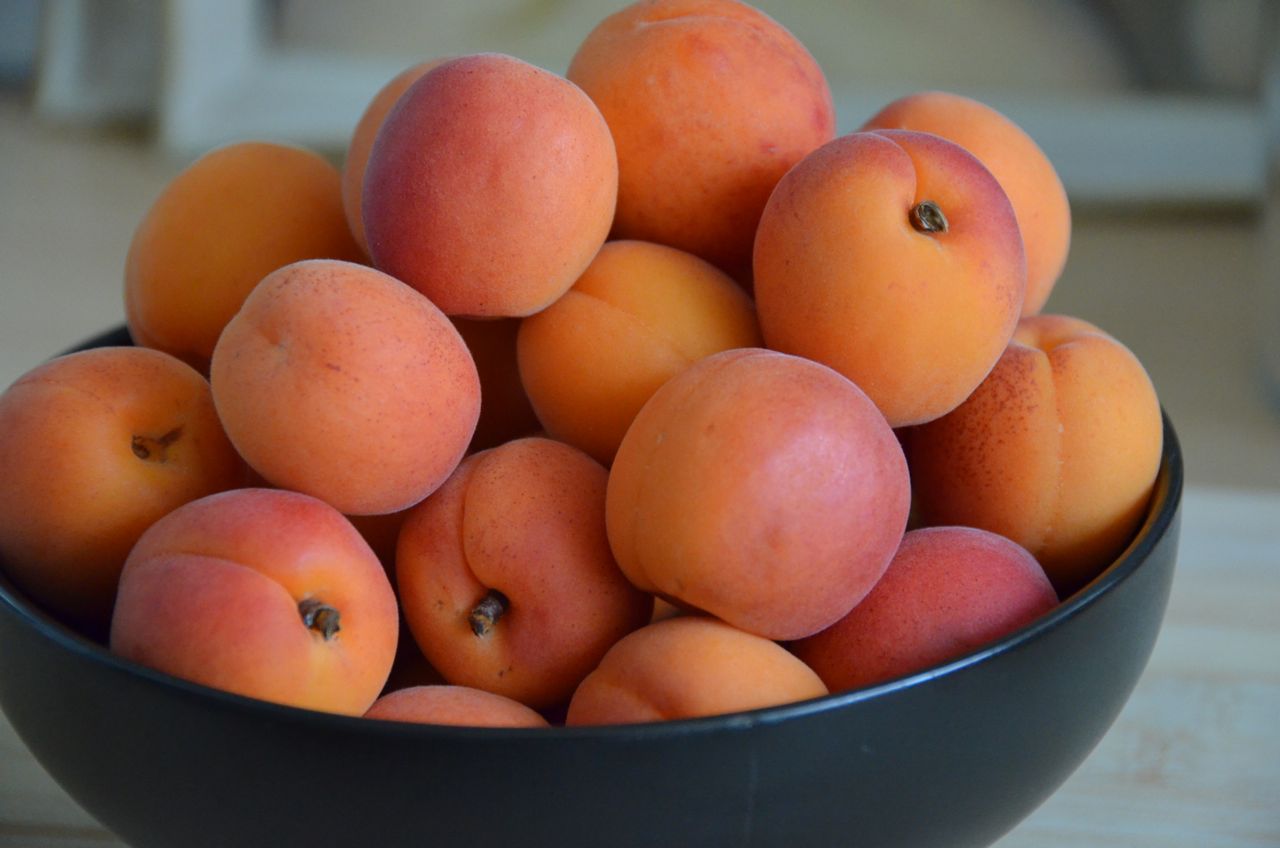 PIZZA FOR BREAKFAST: AUSTRIAN 'OBSTFLECK' - APRICOT TRAY BAKE