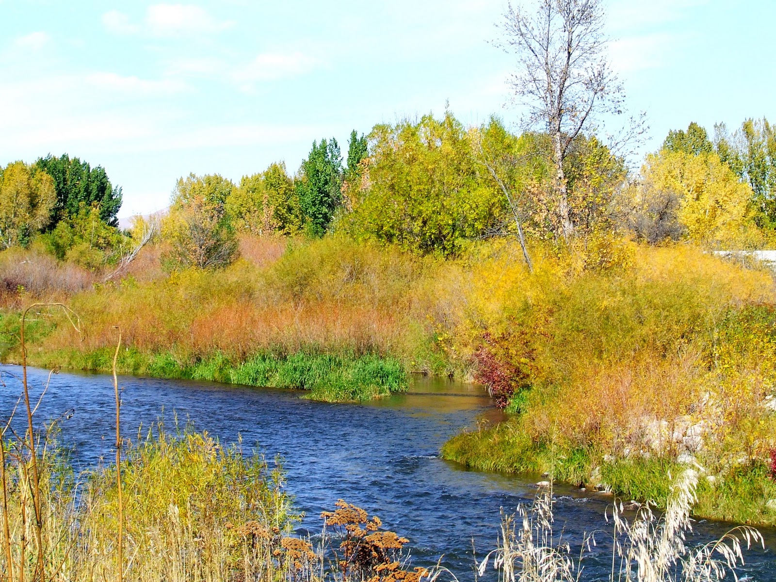 Somethin' Salvaged: Roadtrip October 2011 Part 3 Home Bound: Mount ...