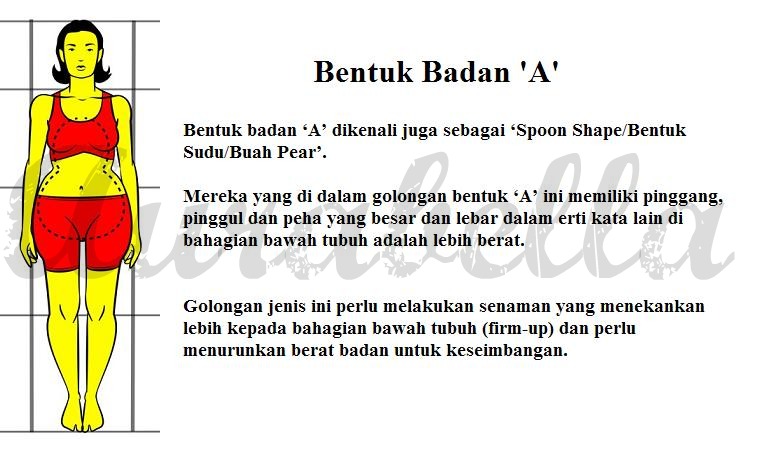 Beauty + Great Health = Aurabella: JENIS BENTUK BADAN