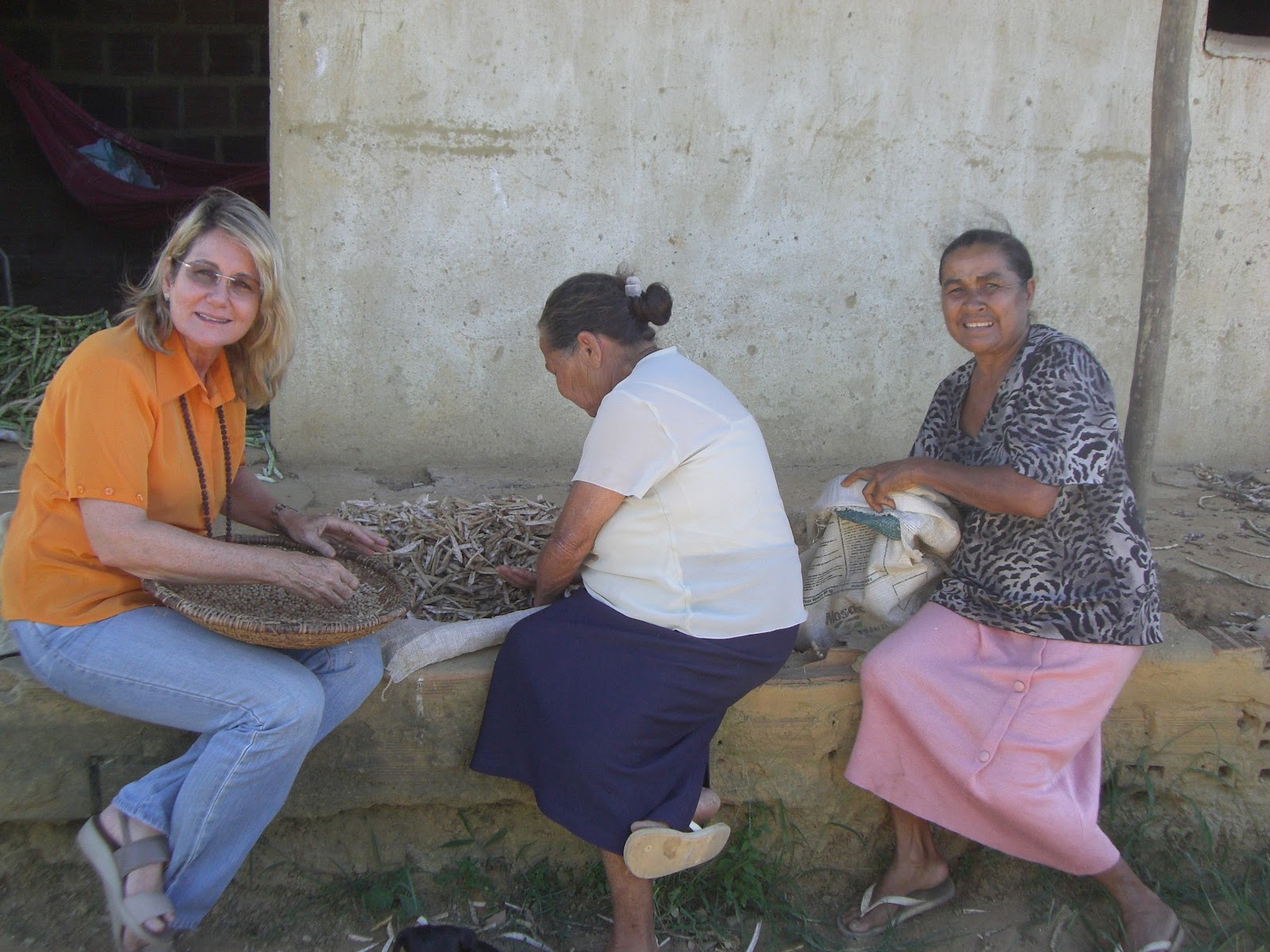 Vereadora Angela Lundgren