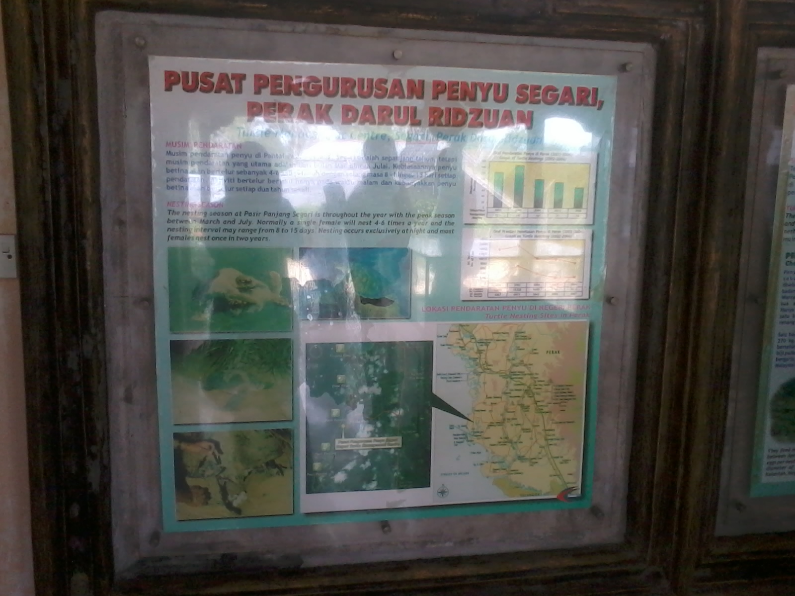 Catatan Eija: Pusat Konservasi dan Penerangan Penyu Segari, Perak