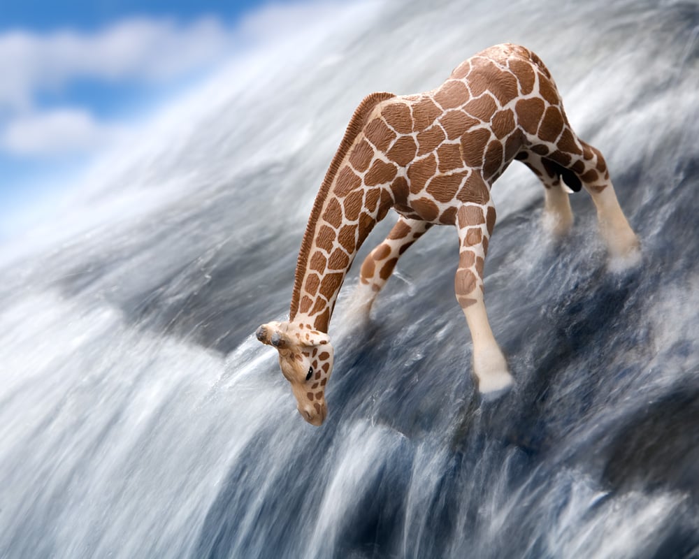 GDES2010 - CDME2018 - CDME2029 - CDME2030: CDME2008_S2.15-16: CONCEPT ...