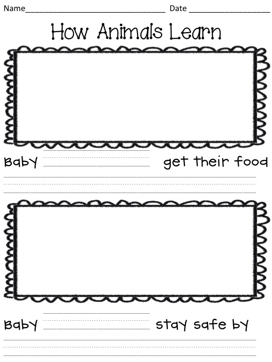 Second Grade Silliness: D is for David's New Friends