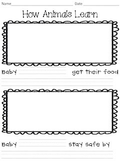 Second Grade Silliness: D is for David's New Friends