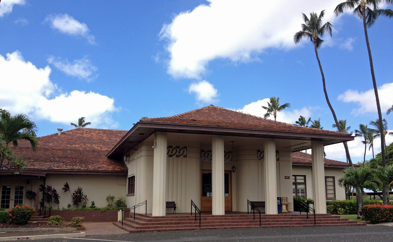 The Walking Hawaiian