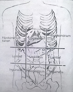 Anatomi Tubuh Manusia: Anatomi Fisiologi Tubuh Manusia