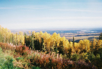 VIAJANDO COM SONINHA: Vamos ao Alaska?