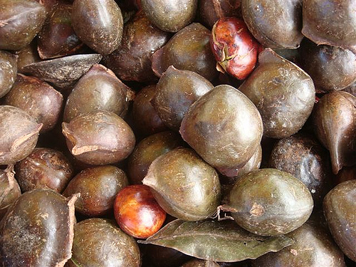 SEINDAH BAHASA: rinduku bertunas kembali.....