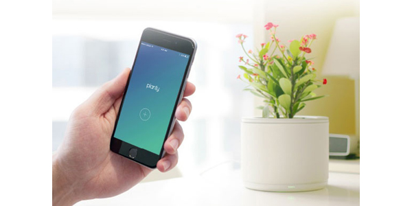 MACETEROS INTELIGENTES: MACETAS INTELIGENTES