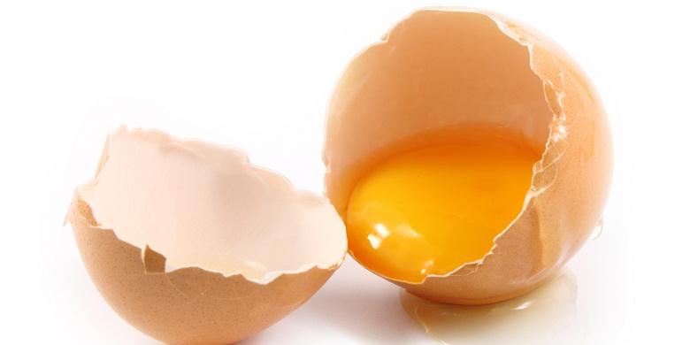 Karakteristik Telur - GiziKlinikKu