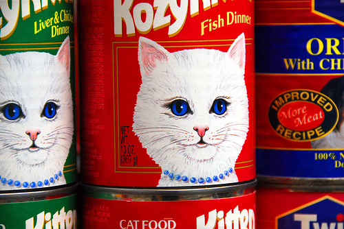 Bitsy's Bits and Pieces: Kozy Kitten Catfood, Do YOU Dream In Color and ...