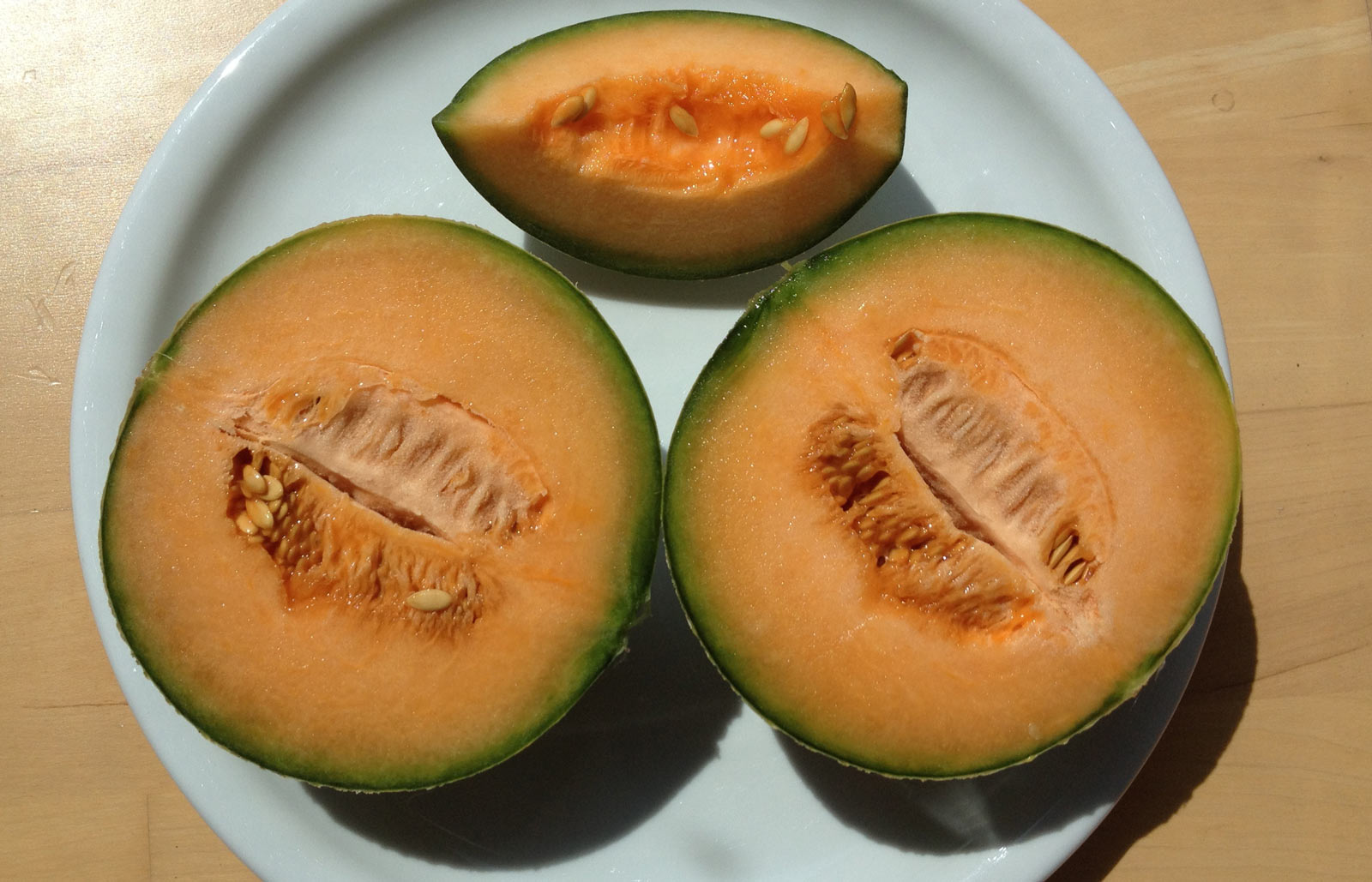 Gartenzone: Melonen im Nutzgarten: Sortenerfahrungen und Sortenempfehlungen