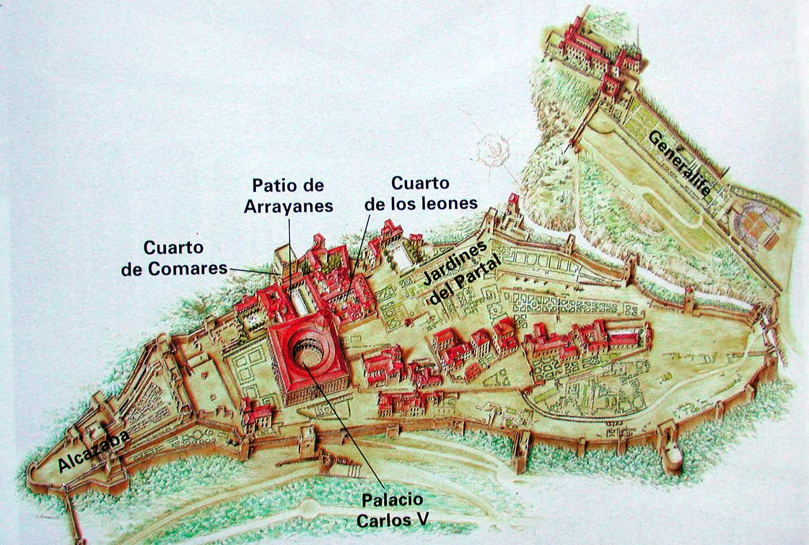 La historia en imágenes: EDAD MEDIA: el maravilloso mundo árabe