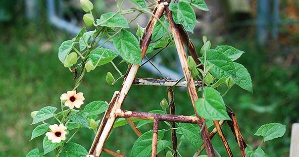 Romantic Wire Vine - Jill Ruth & Co.