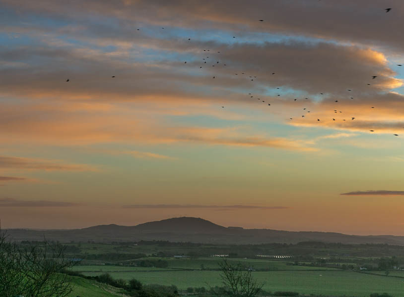 Moore Photography: Lyth Hill, Shropshire - sunrise