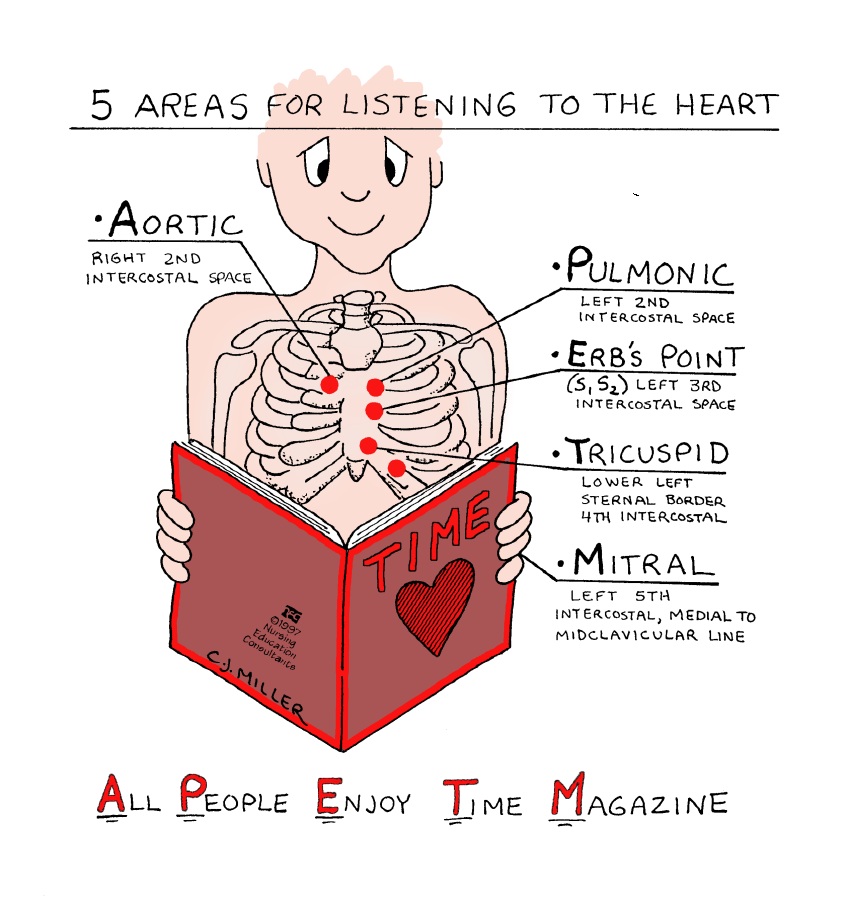 5 Areas for listening to the heart-ABC Medicine