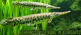 Zona de la Cultura: Tabasco, el Edén del Sureste