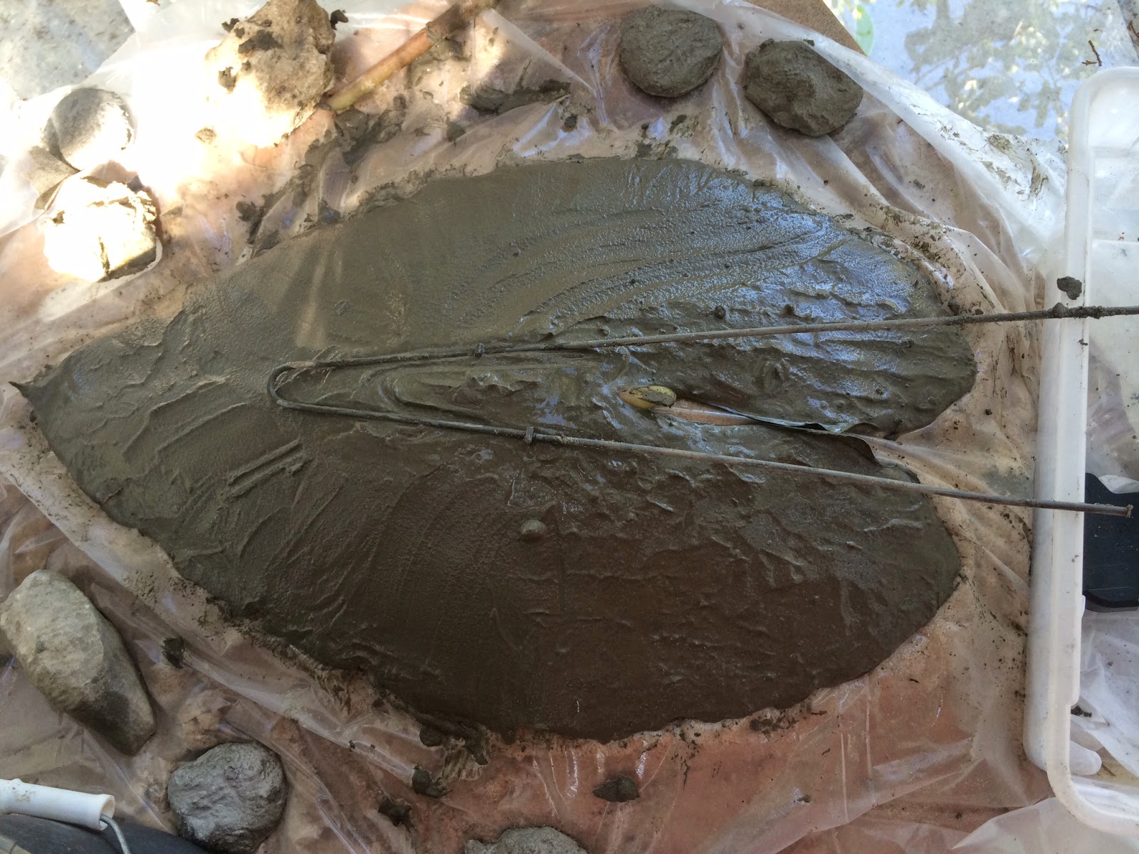 Garden AHHH: Elephant Ear Leaf Casting