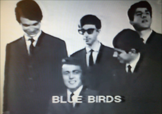 ΜουσικόVLOG: THE BLUE BIRDS 1964--1976