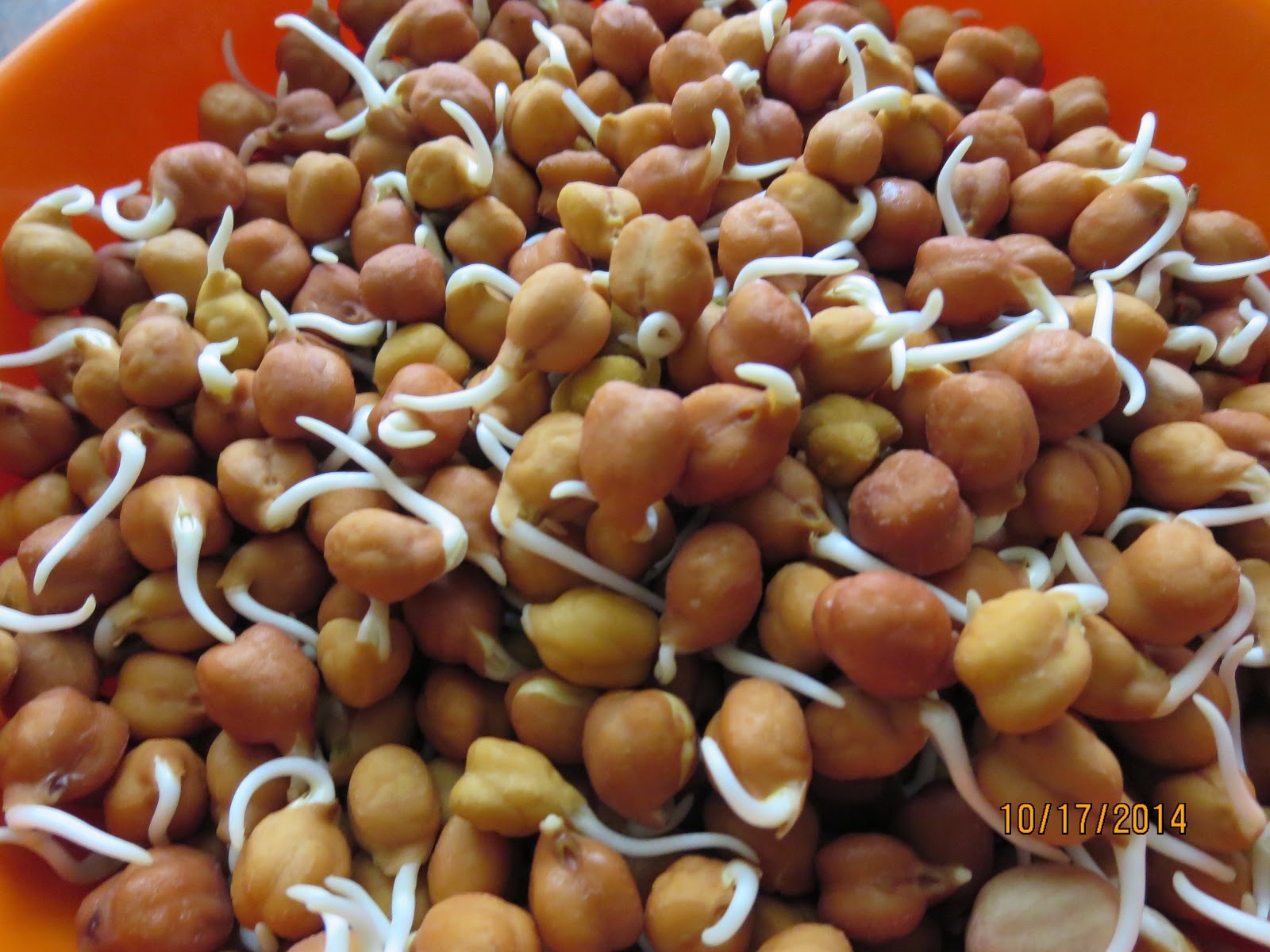 Dharwad Cooks: Sprouted Kadale Kaalu/Chickpea Usli