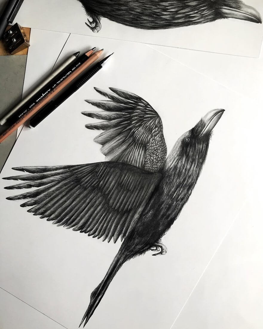 Design Stack: A Blog about Art, Design and Architecture: Animal ...