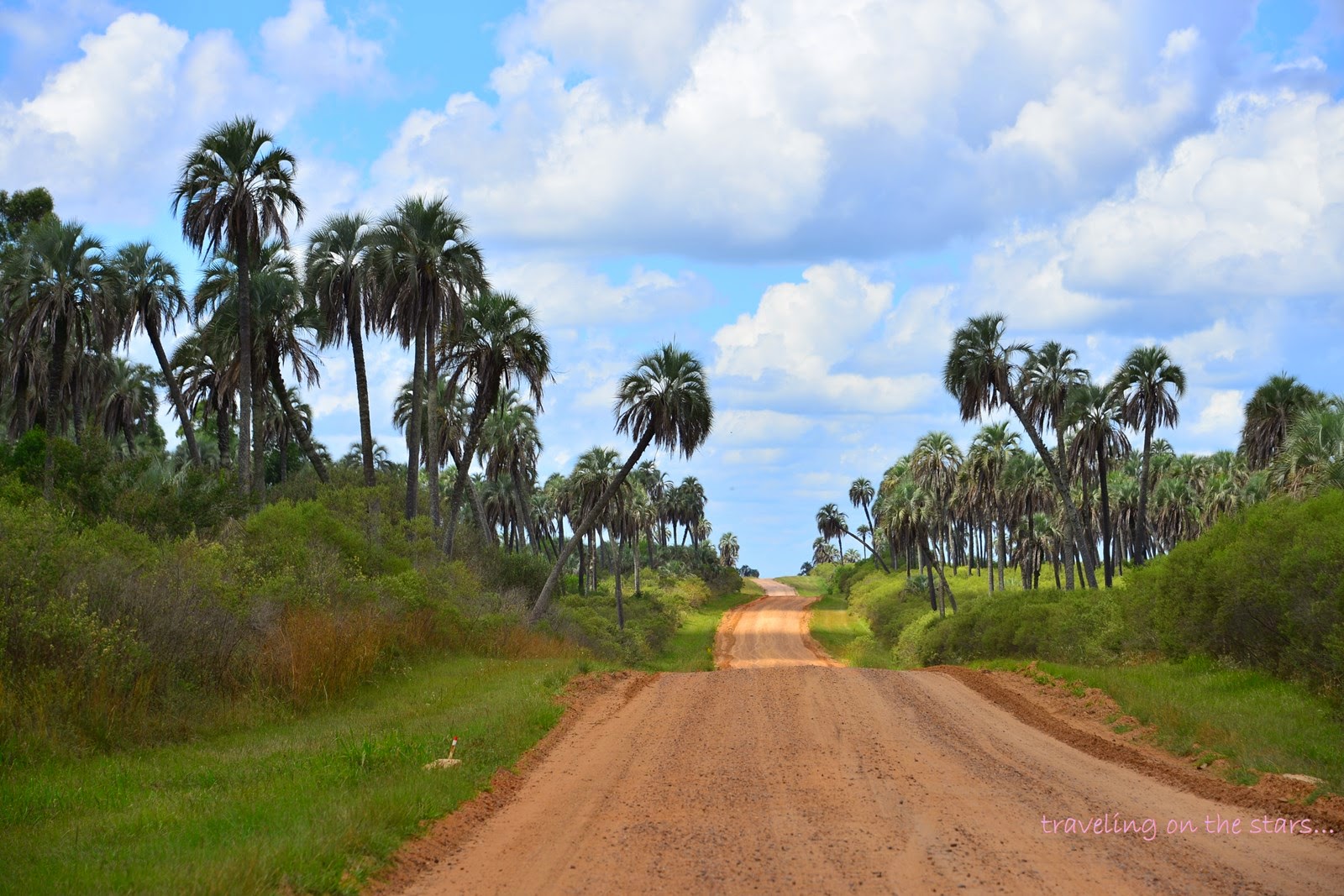 traveling on the stars...: Parque Nacional El Palmar (Entre Ríos ...