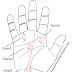 Fish Symbol Or Kite Symbol On Sun Mount In Palmistry ~ INDIAN PALM ...