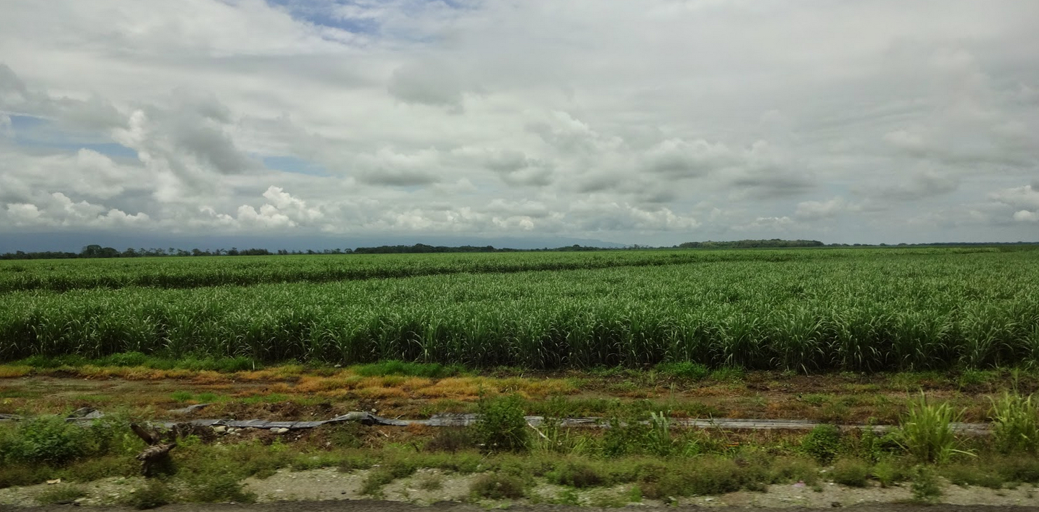 NephiCode: Cumorah: The Ecuadorian Mount Imbabura – Part II