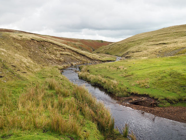 Porsche-noir: Apedale valley country park, Staffordshire The UK.